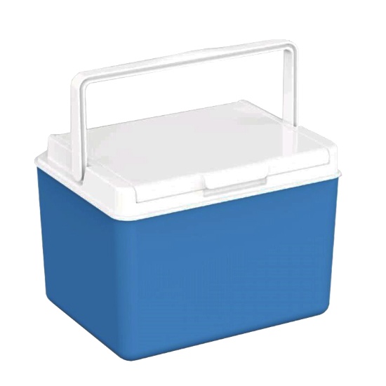 12 liters Cooler Box | Bags, Handbags & Accessories | Fashion, Eyewear ...