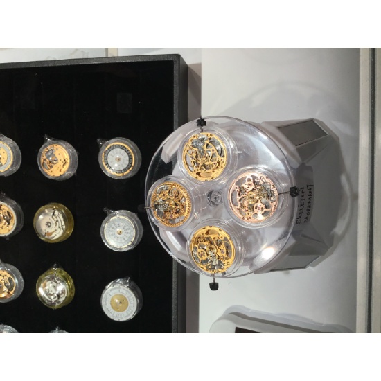 2824 Polishing Movement | Jewellery & Watch