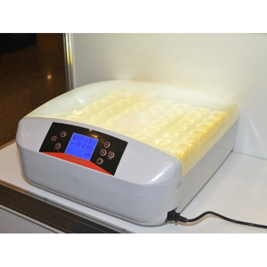 360 Eggs Incubator | Scientific, Testing & Laboratory Equipments ...