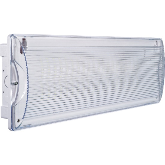 8W Waterproof IP65 Bulkhead Recessed and Surface Emergency Light | 環境保護 ...