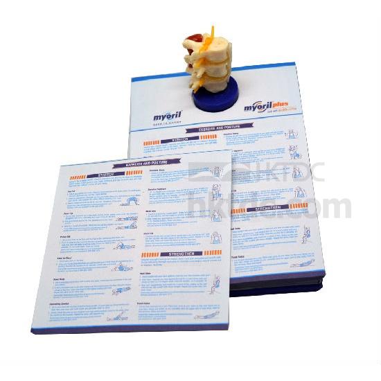 Anatomical Model Tear Pad | Stationery | Printing & Packaging ...