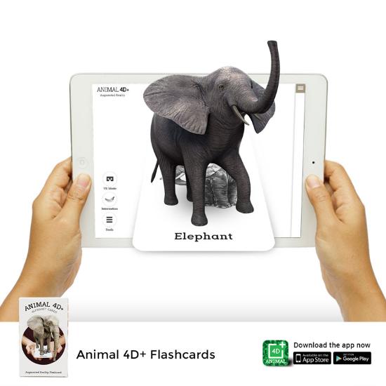 Animal 4D+ Flashcards | Computers & Peripherals | Consumer Electronics