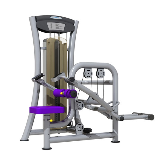 Arm Extension Machine | Fitness & Body Building | Sports Supplies