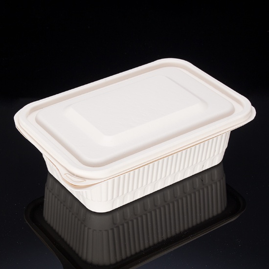 Biodegradable Disposable Rectangular 750ml Food Container | Food & Beverage