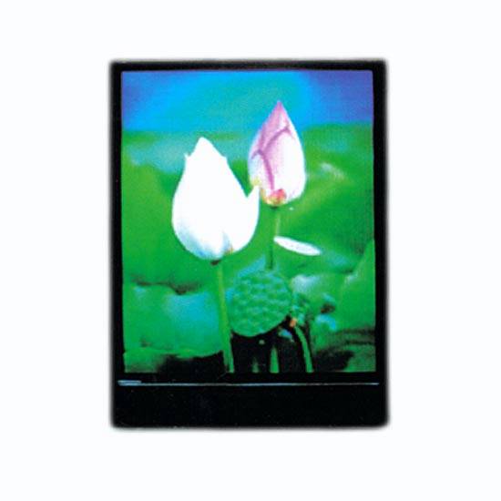 CSTN Display Module | Parts, Components & Electrical Supplies | Electronics