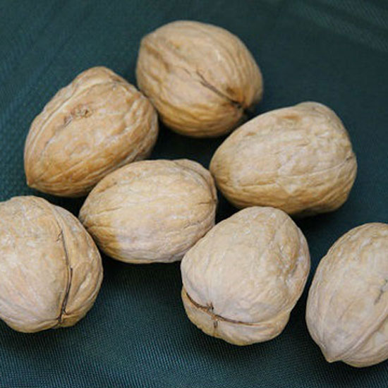 California Inshell Walnut | Food & Beverage
