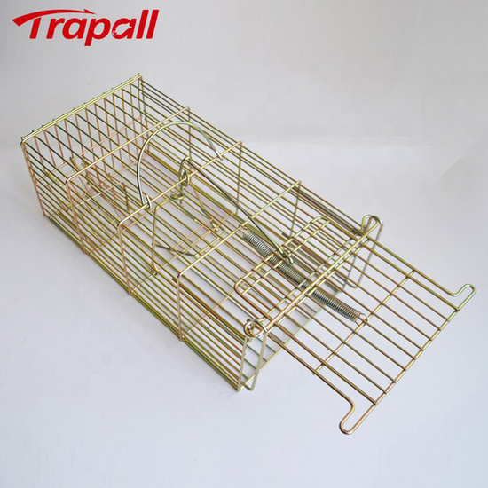 Cat Squirrel Mouse Live CaHumane Metal Animatch Trap Cage for Rodent ...