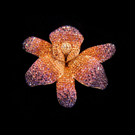 Crystal Brooch | Fashion, Eyewear & Accessories