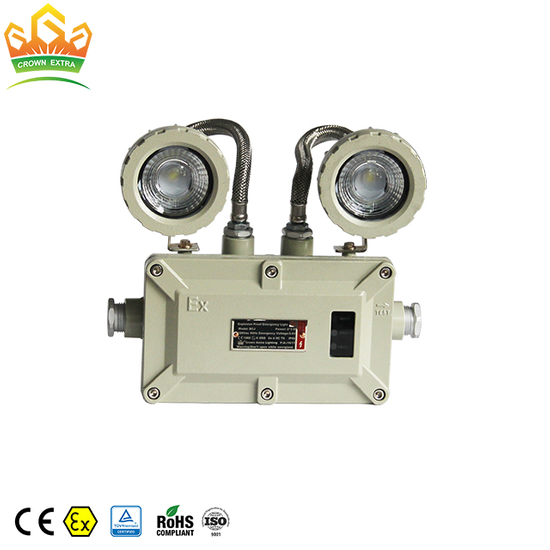 Explosion proof emergency light | Outdoor Lighting | Lights