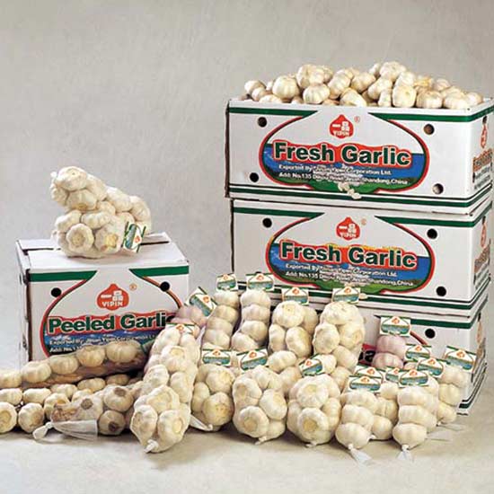 Fresh Garlic | Food & Beverage