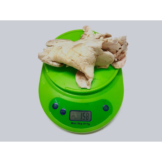 Frozen Fish Maw | Food & Beverage