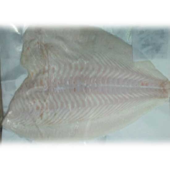 Frozen Flatfish Fillet | Food & Beverage