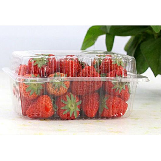 Fruit Packing Box | Plastic Packaging | Printing & Packaging ...
