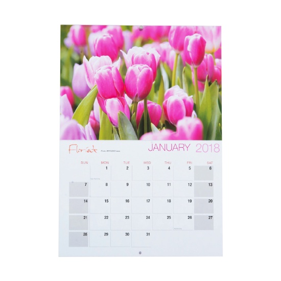 Full Color Customized Wall Calendar with Hole | Gifts, Toys & Sports ...