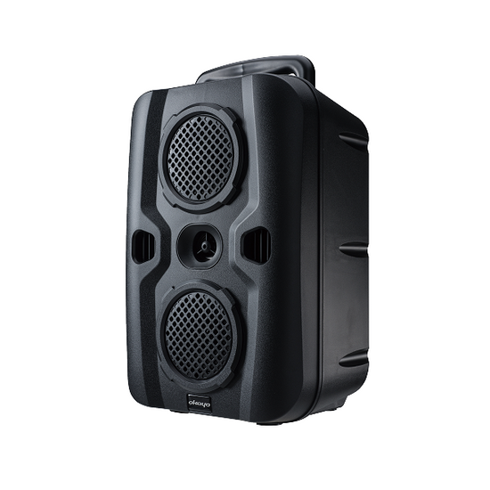 GX 55 DECT 80W Portable Sound System | Consumer Electronics | Electronics