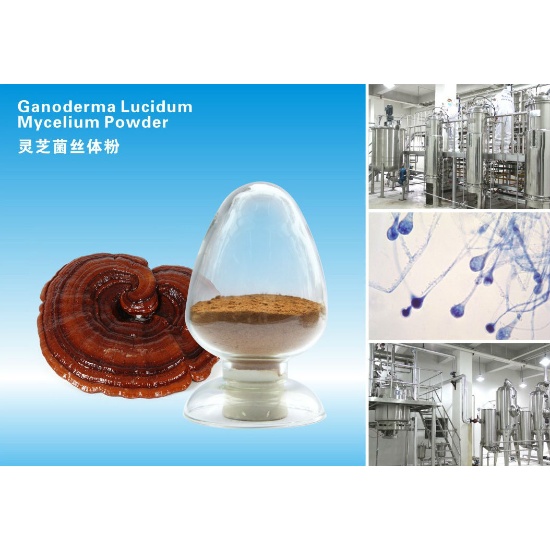 Ganoderma Lucidum Mycelium Powder 灵芝菌丝体粉 | Health, Beauty and Baby Care