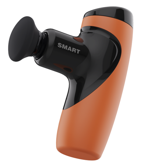 Healthpal 6 Gear Rechargeable Professionnel Electric Mini Fascial Gun ...