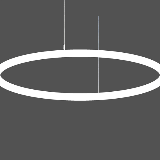 LED Aurora Circular Ceiling Light Round Ring Light | 環境保護 | 家居用品，燈飾及建築