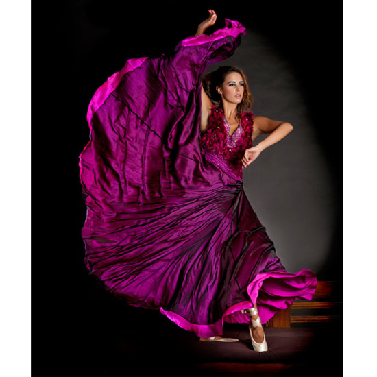 Ladies' Chiffon Dress | Fashion, Clothing & Accessories