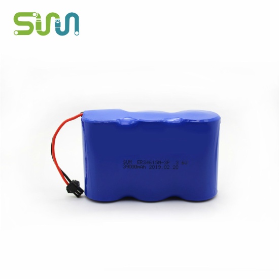 Lithium Thionyl Chloride Battery | Batteries | Consumer Electronics