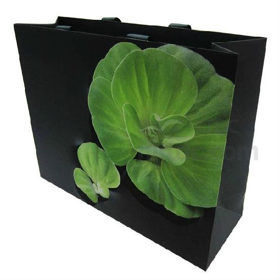 Luxury Soft Touch Lamination Bag | Paper Packaging | Printing ...