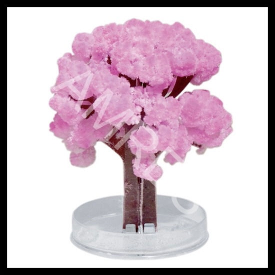 Magic Sakura | Gifts, Toys & Sports Supplies