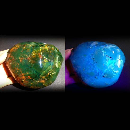 Mexican Amber | Jewellery & Watch