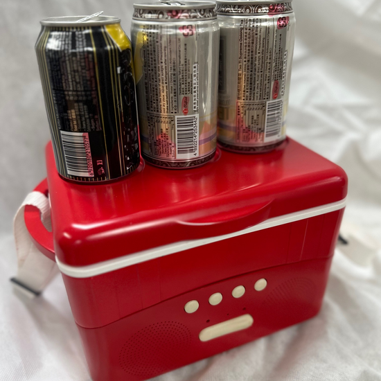 Model 2501 Cooler Box Radio with Wireless Speaker and charging function ...