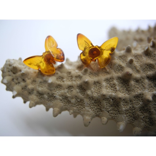Natural Baltic Amber Earrings | Jewellery & Watch