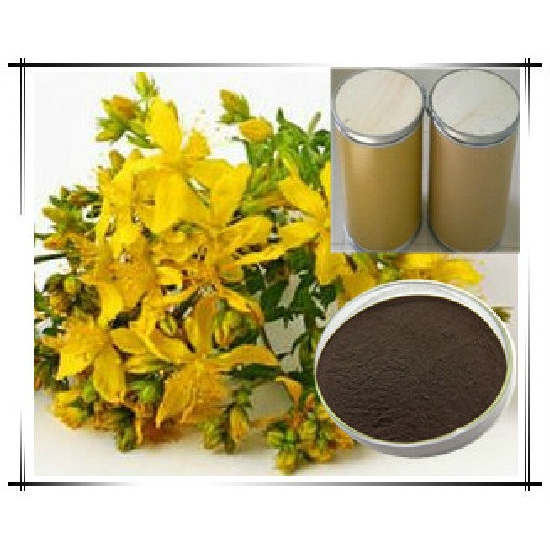 Natural Herb Medicine Hypericum Perforatum Extract Hypericin 0.3% ...