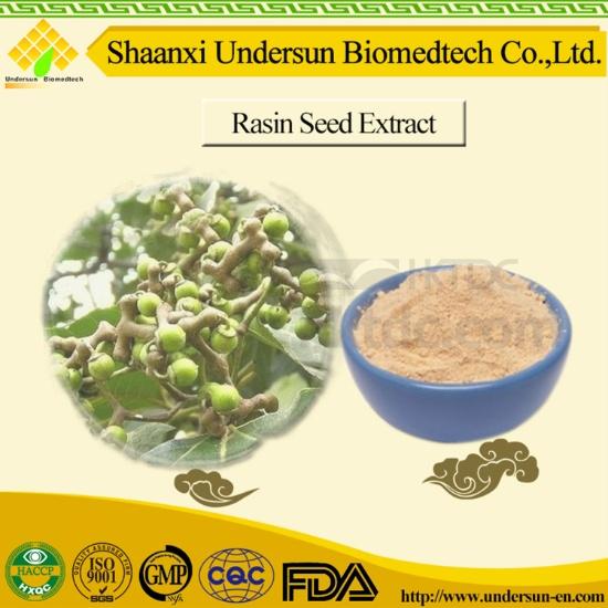 Natural and Pollution-free/Raisin Tree Seed Extract/Flavor Food ...