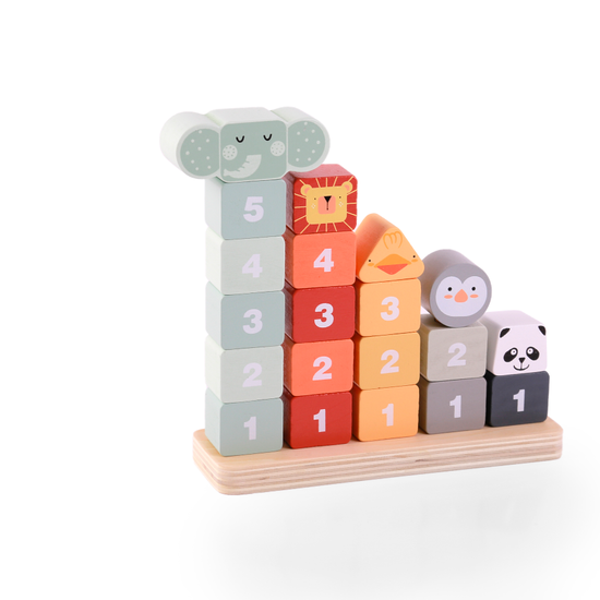 Numbers Counting Sorter Blocks | Blocks | Educational Toys