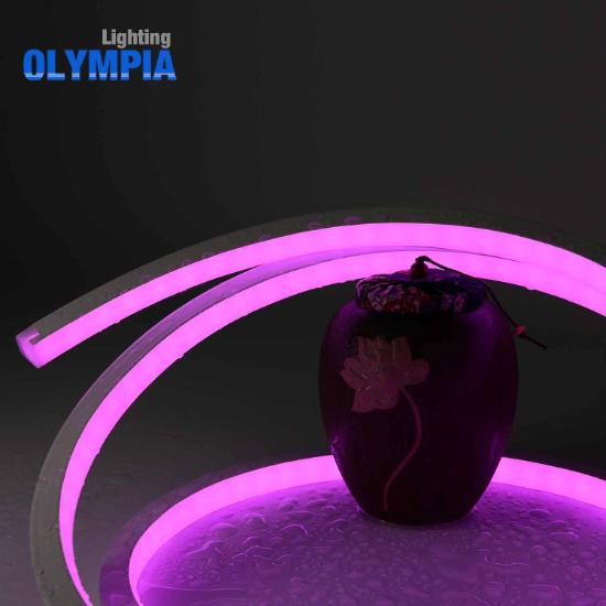 PVC LED Strip Light waterproof led Neon Flex IP68 DC24V light Neon led ...