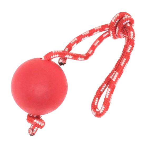 Pet Training Rubber Ball | Pets & Pet Supplies | Homeware & Lifestyle ...