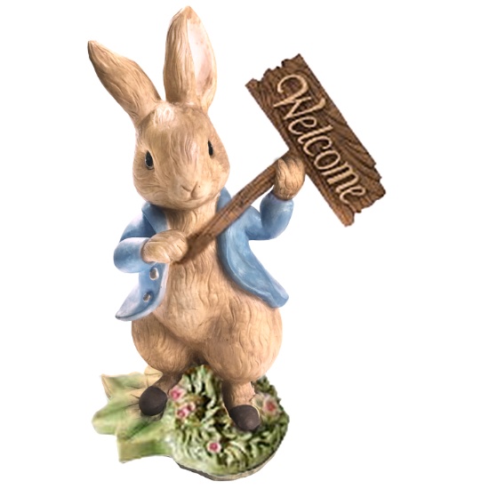 Peter Rabbit Bank Box | Gifts, Toys & Sports Supplies