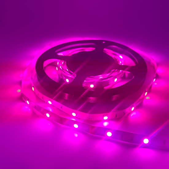 SMD5050 RGB Color Changing RA80 12V LED Strip Light | Festive ...