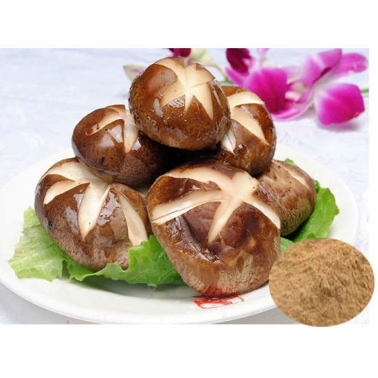 Shiitake Mushroom Extract | Health, Beauty and Baby Care