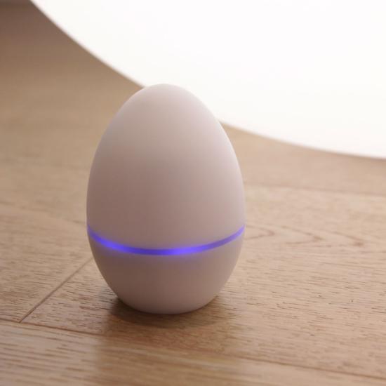 Smart Egg | Consumer Electronics | Electronics