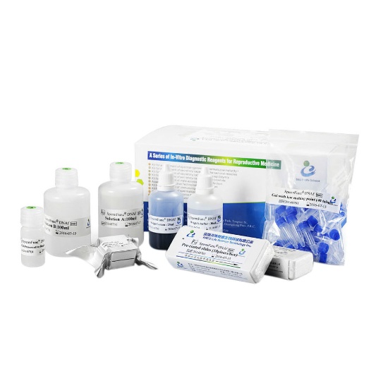 Sperm DNA Fragmentation Test Kit (SCD method) | Health Care & Medical ...