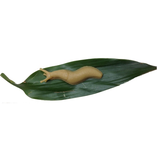 Sticky Slimy Slug Joke Trick Novelty Toy | Party Supplies | Gifts, Toys ...