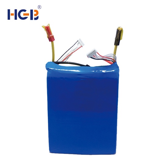 UAV Lithium Polymer Battery Pack | Batteries | Consumer Electronics