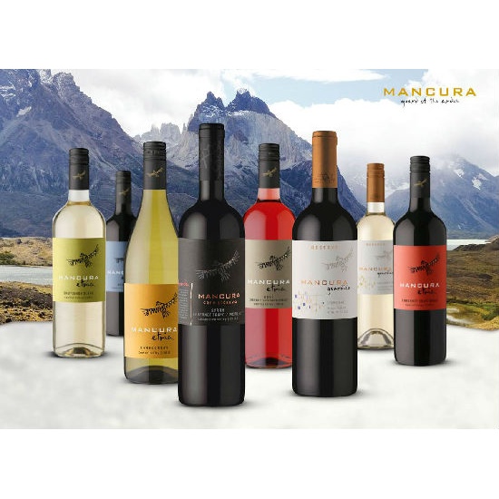 Wine from Chile | Food & Beverage