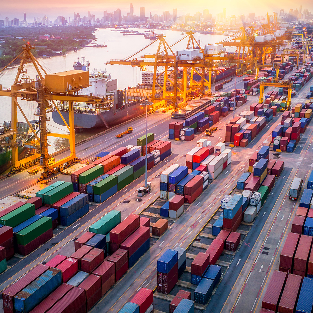 Trading, Bonded Storage and Logistic Service | 专业服务